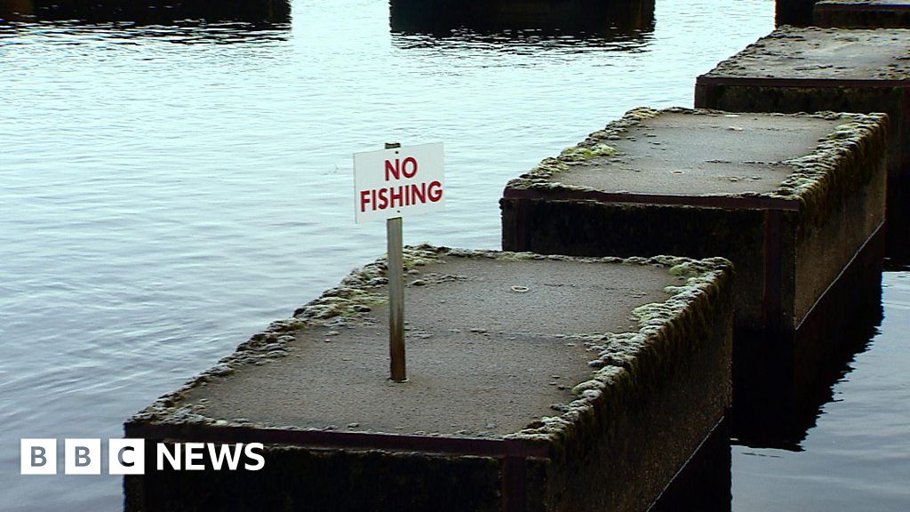 Energy firm funds Ross-shire fish hatchery - BBC News