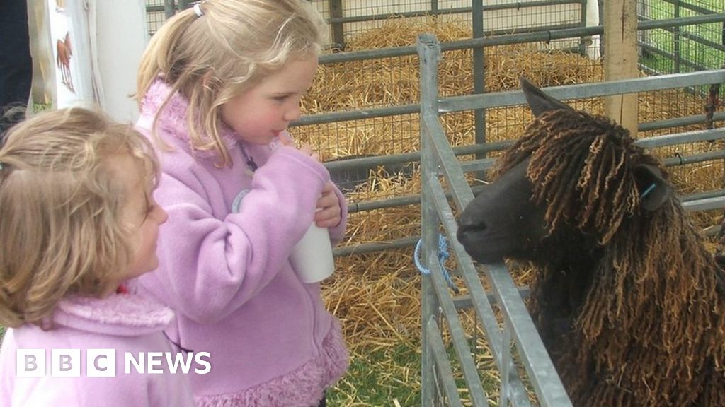 Suffolk Show to return to Ipswich after two-year break - BBC News