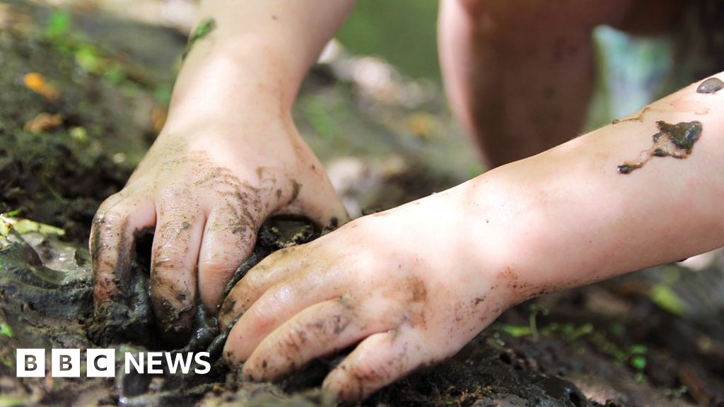 Children 'not safe' at Oswestry forest preschool