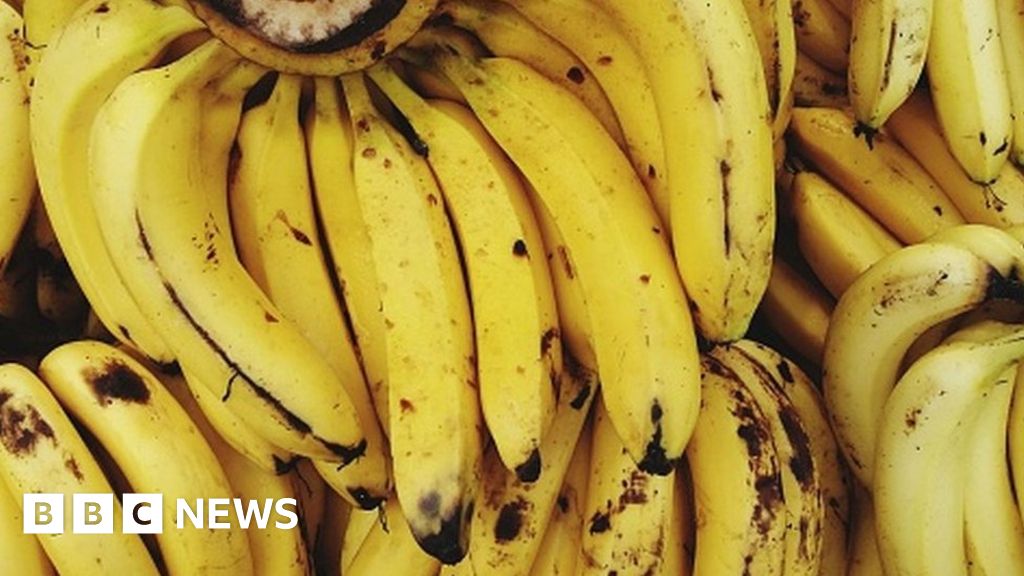 Banana campaign for food caddy recycling rate increase - BBC News