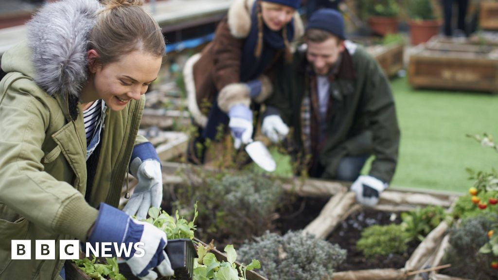 Winchester community projects get £1.5m boost - BBC News