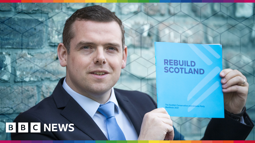 Scottish election 2021: Scottish Conservative policies explained - BBC News