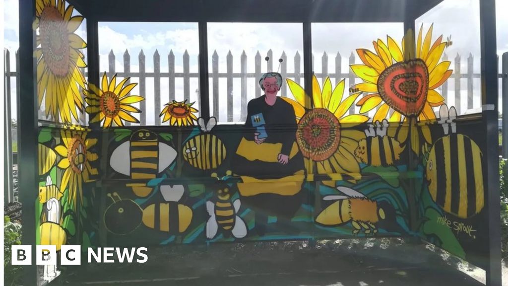 Hull's Bee Lady remembered with 'buzz shelter' to help insects - BBC News