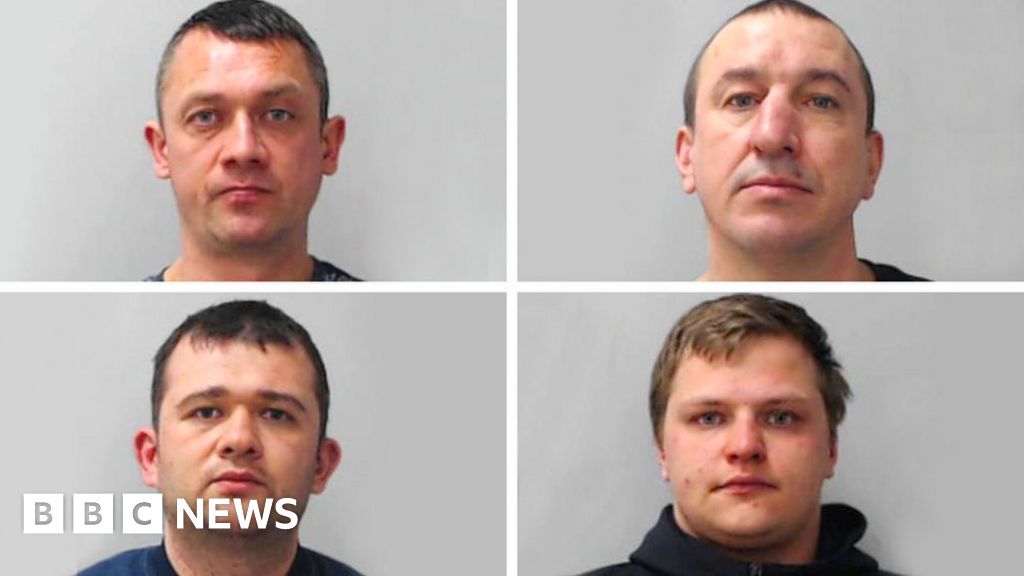 Crime gang members admit major Peterhead cannabis operation - BBC News