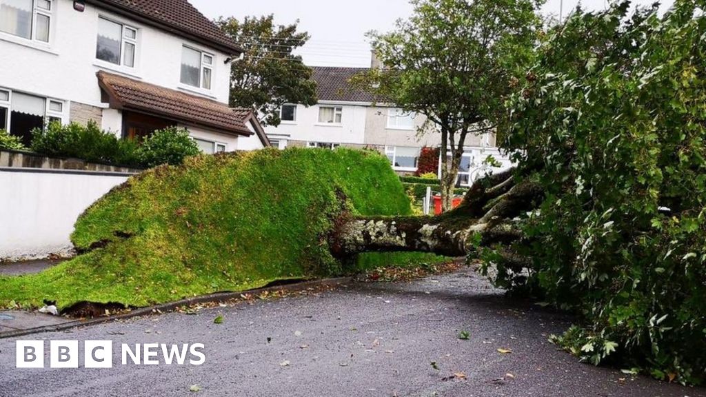 Storm Ali: Woman dies as caravan is blown off cliff - BBC News