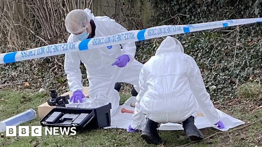 Stevenage murder inquiry: Teens arrested on suspicion of murder - BBC News
