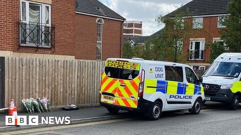 Kameron Campbell Bedford stabbing accused in court - BBC News