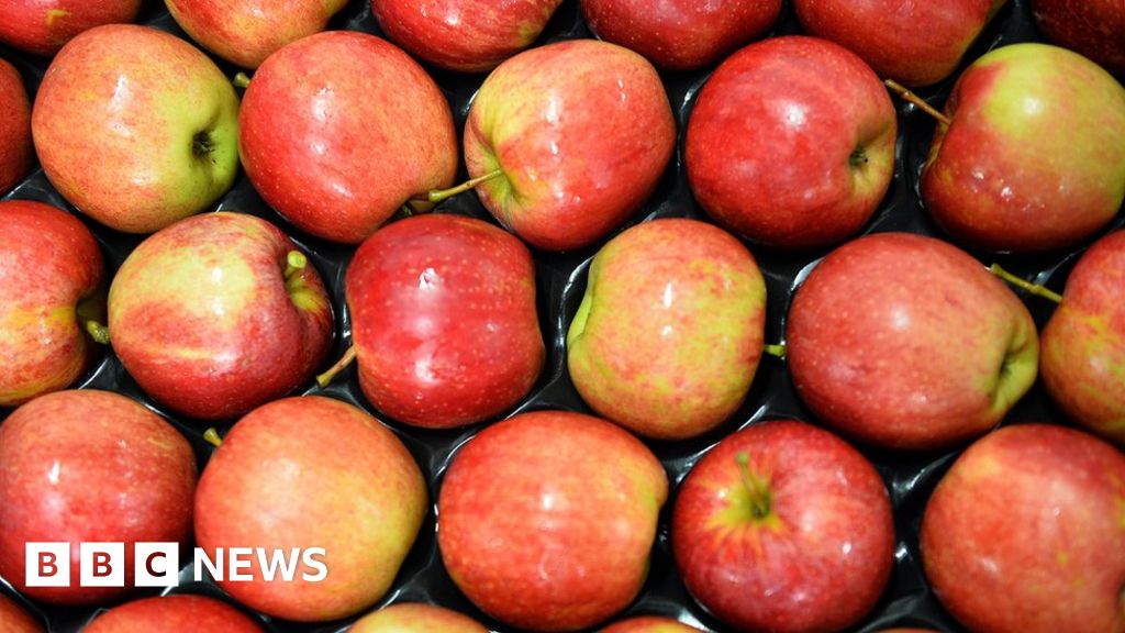 Fruit smugglers 'upgrade' Russian border road - BBC News