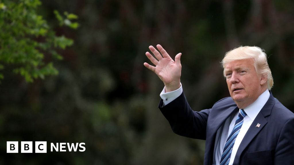 Is Trump's thin skin getting in the way of his presidency? - BBC News