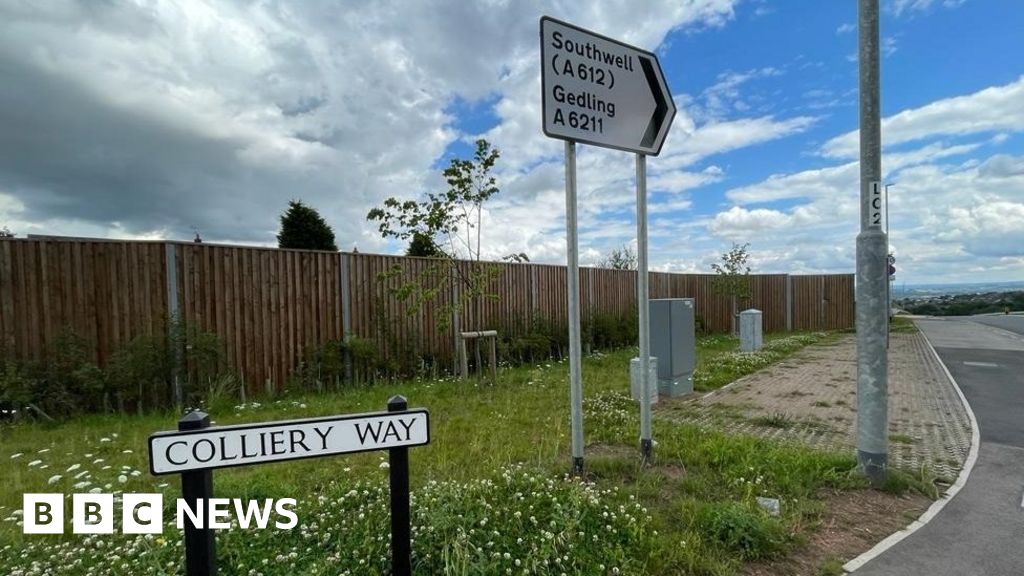 Gedling homes to be built next to bypass despite concerns - BBC News