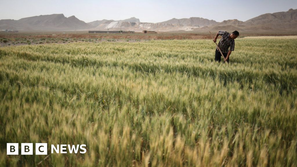Nuclear deal could give Iran technologies to cut pollution - BBC News