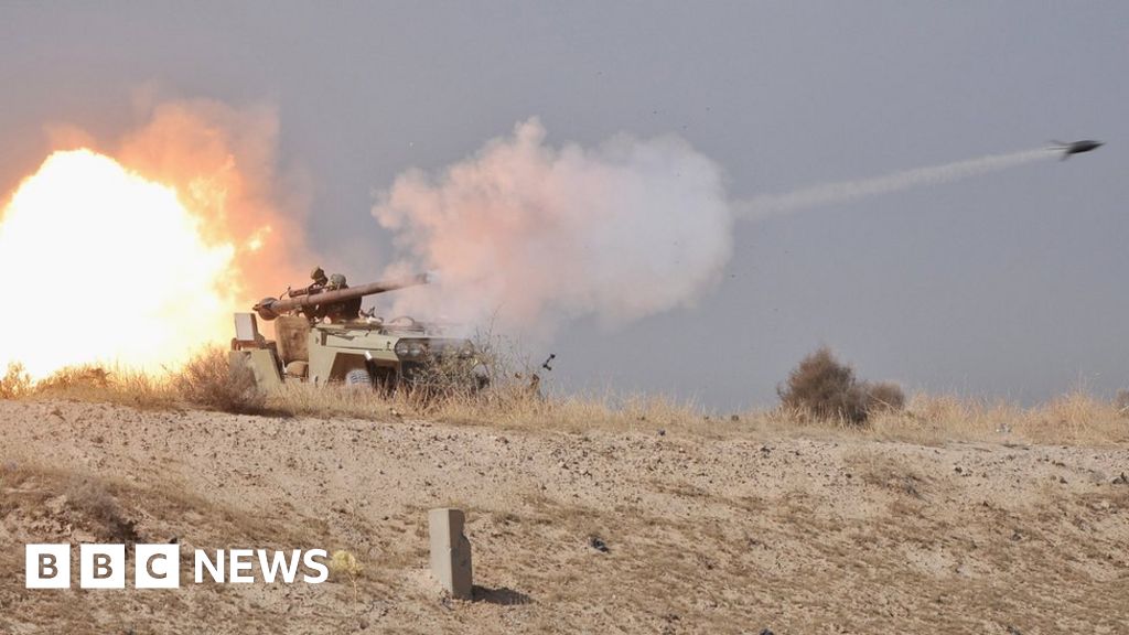 Islamic State: Which countries are doing what? - BBC News