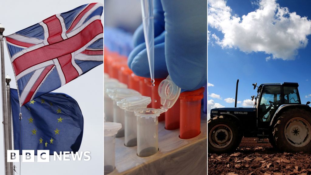 Brexit: Government guarantee for post-EU funds - BBC News