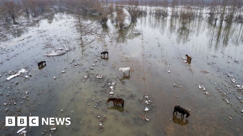 Emily Atkinson - Journalist Profile - Intelligent Relations