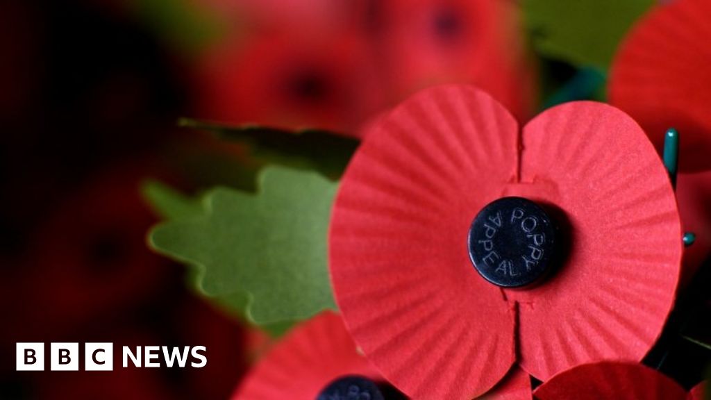 Essex Police bans 43 Facebook users over Poppy Appeal theft 'abuse'