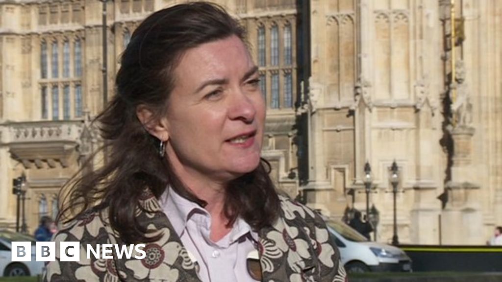 Baroness Morgan seeks assembly election via regional list - BBC News