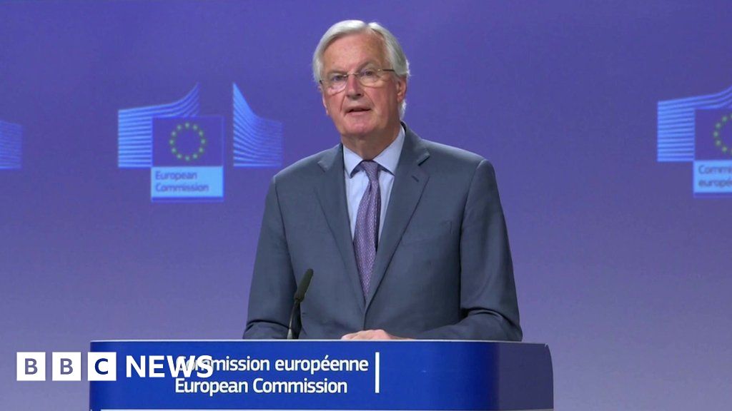 Brexit: Michel Barnier on UK-EU trade deal negotiations - BBC News