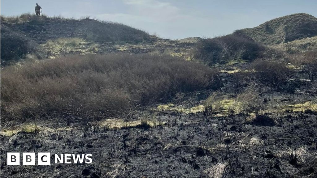 Cornwall gorse fire believed to be arson - BBC News