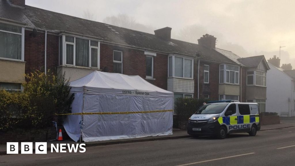 Exeter murders: Three men in 80s had 'serious head injuries' - BBC News