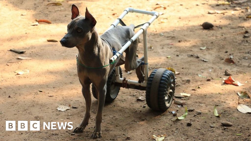 Your pictures: Jugaad - BBC News