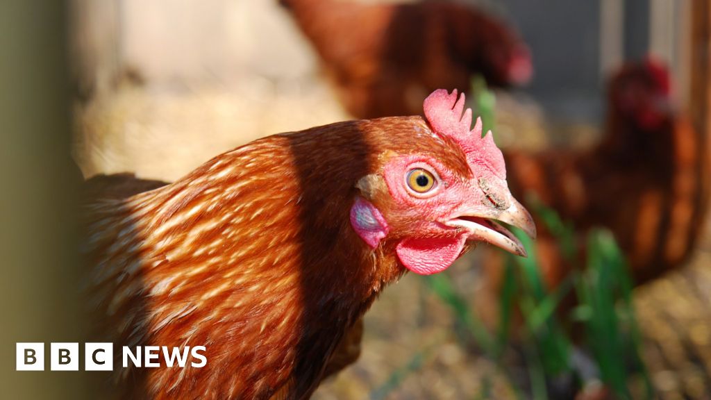 Peebles chicken shed proposal voted down