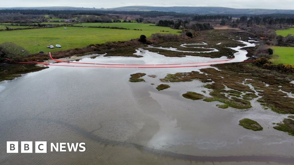 Probe into Poole Harbour oil spill continues seven months on - BBC News