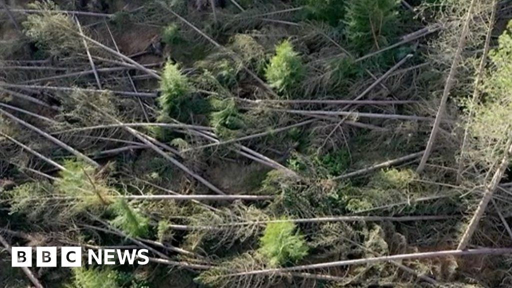 Storm Arwen: Northumberland devastated by 'storm of our generation ...