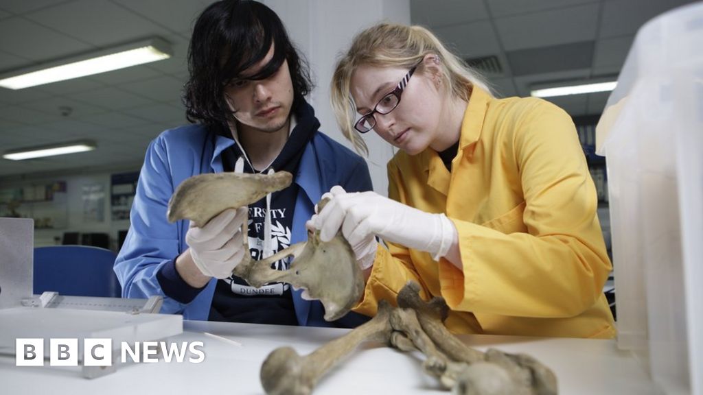 Korea remains: How are human remains identified? - BBC News