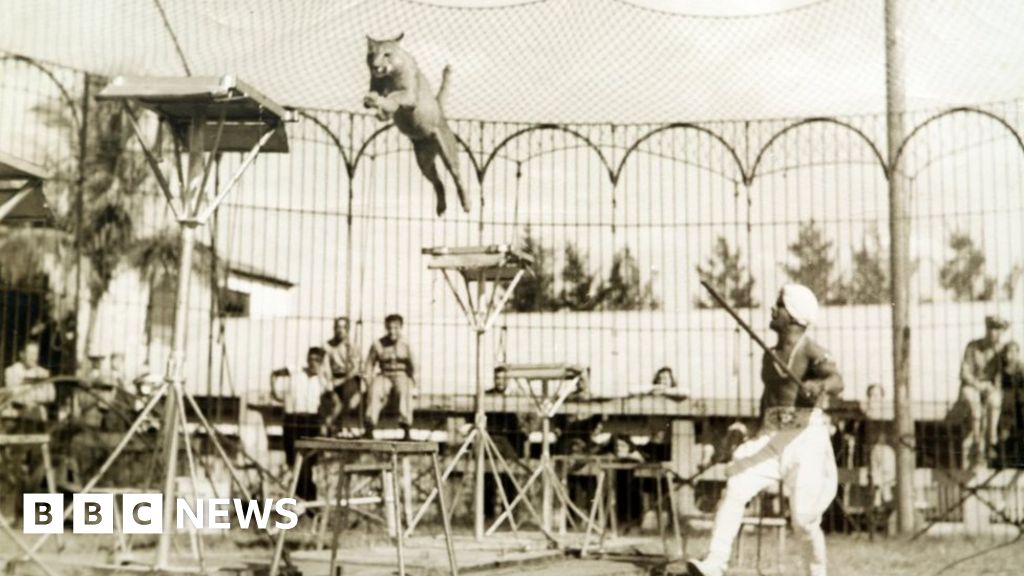 The Indian animal trainer who became a circus legend - BBC News