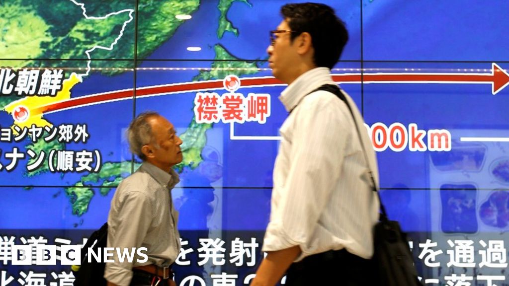 What Are North Korea S Other Wmds