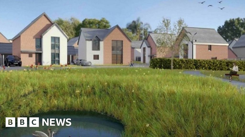 Plans for Barrow 58-home development attract wildlife concerns - BBC News