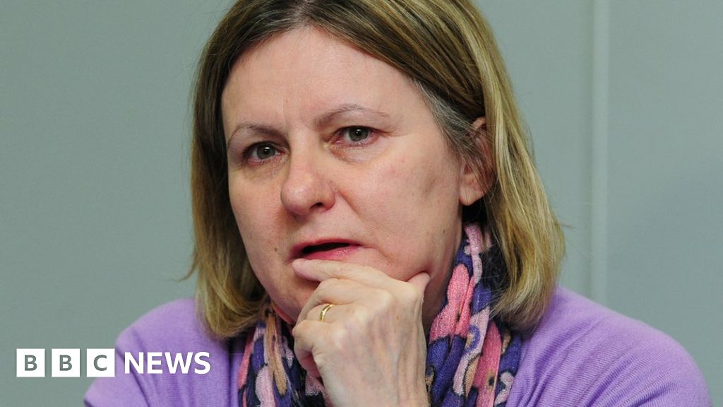 Sheffield City Council leader: Mayoral veto plan 'unacceptable' - BBC News