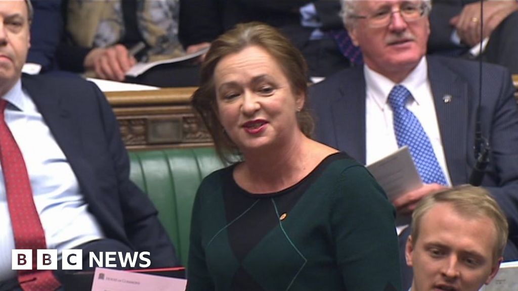 Bird flying around House of Commons interrupts Plaid MP