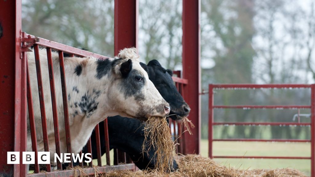 Stranraer farmer raises import concerns over bovine TB