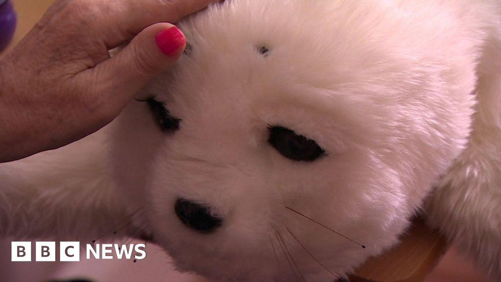 Meet Paro the cuddly carehome assistant - BBC News