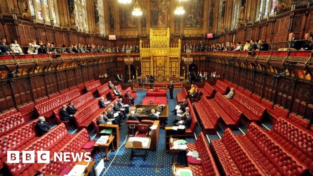 No 10 plays down House of Lords abolition warning over Brexit - BBC News