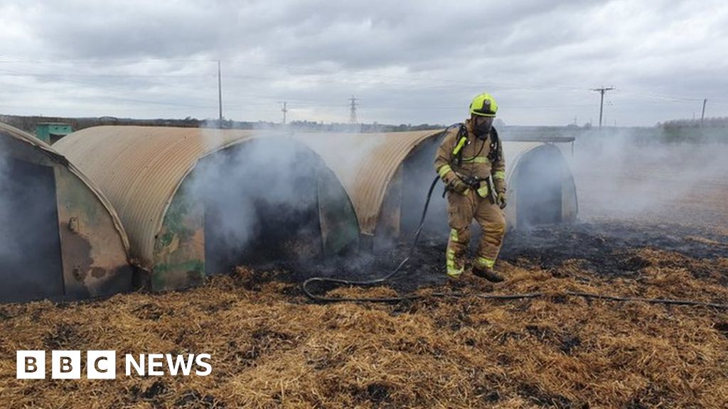 Bacon saved after pedometer-eating pig's poo starts farm fire