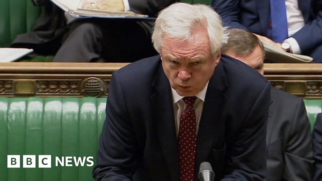 Brexit has to be done under a single banner, says Davis - BBC News