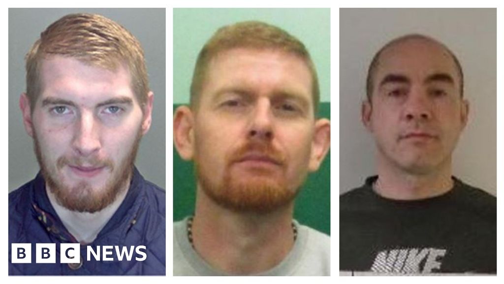 Hollesley Bay: Three prisoners abscond in one day prompting search ...