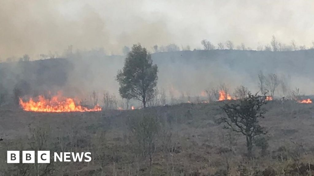 Corwen: Fire crews and helicopter tackle forest blaze - BBC News