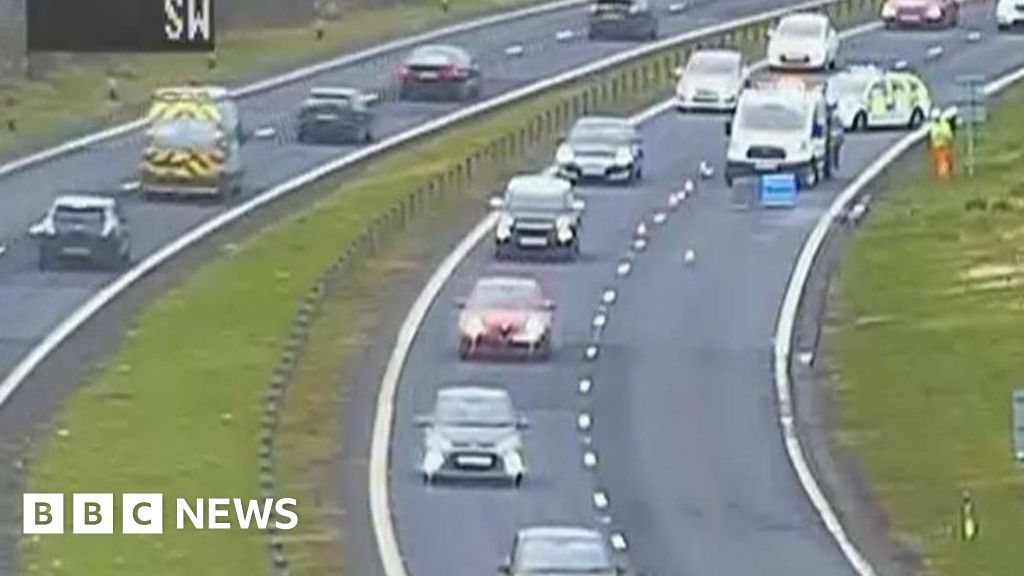 Horses die after being struck by car on A77 in Ayrshire - BBC News