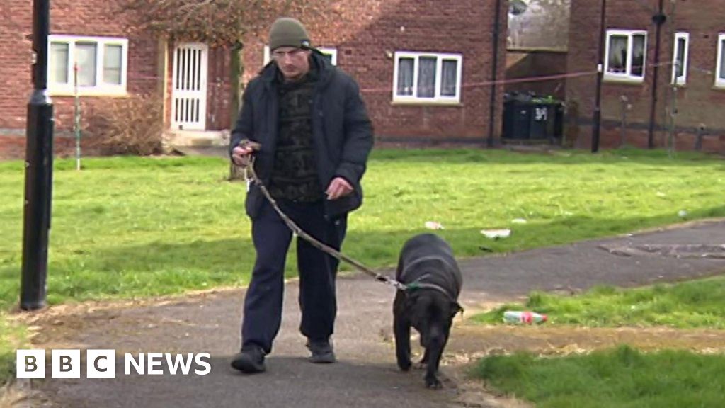 Dog thefts: Owner threatened with knife during puppy robbery - BBC News