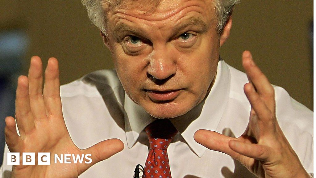 David Davis: An in-depth profile of the Brexit Secretary - BBC News