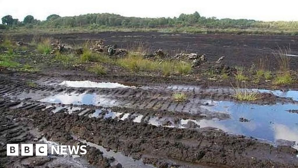 Lindow Moss peat bog homes plan approved - BBC News