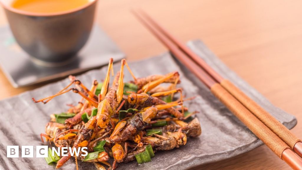 Crickets have hit the high street - can they save the planet? - BBC News