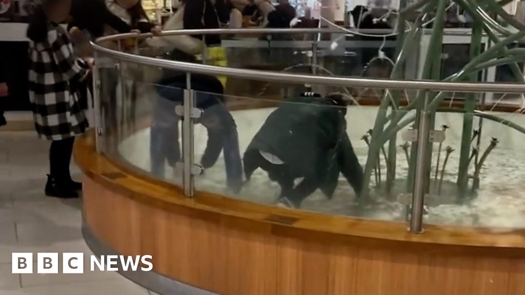 Nottingham Victoria Centre: Pair jump into fountain to steal donations ...