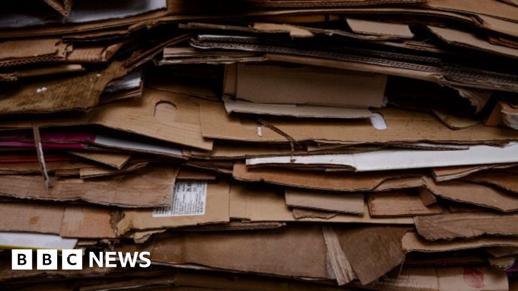 Hong Kong 'cardboard granny' has case overturned - BBC News