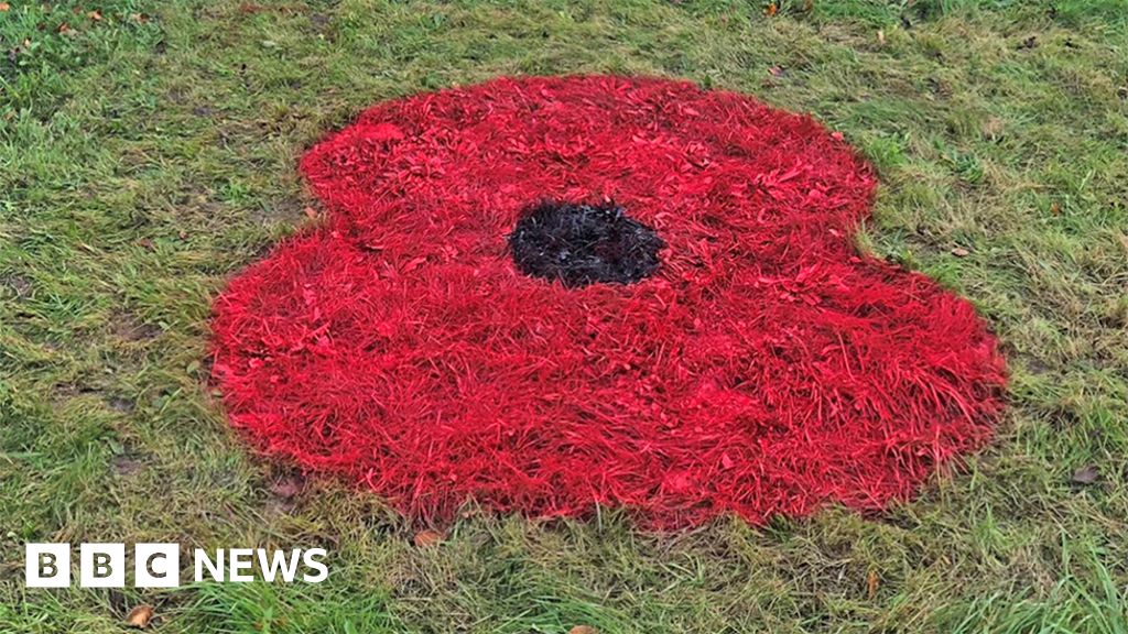 Remembrance Day poppies appear on Lincolnshire roundabouts - BBC News