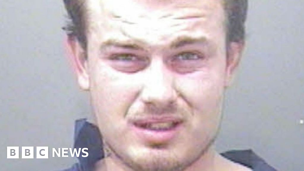 Baby killing dad Liam Laverick's domestic abuse known to authorities ...