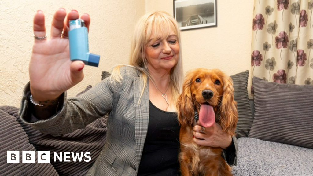 Dog rushed to vets after making inhaler explode - BBC News